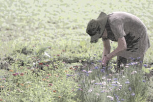 アトリエetsuko field