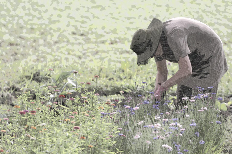 アトリエetsuko field