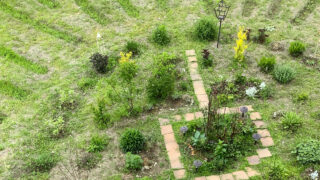 アトリエetsuko field